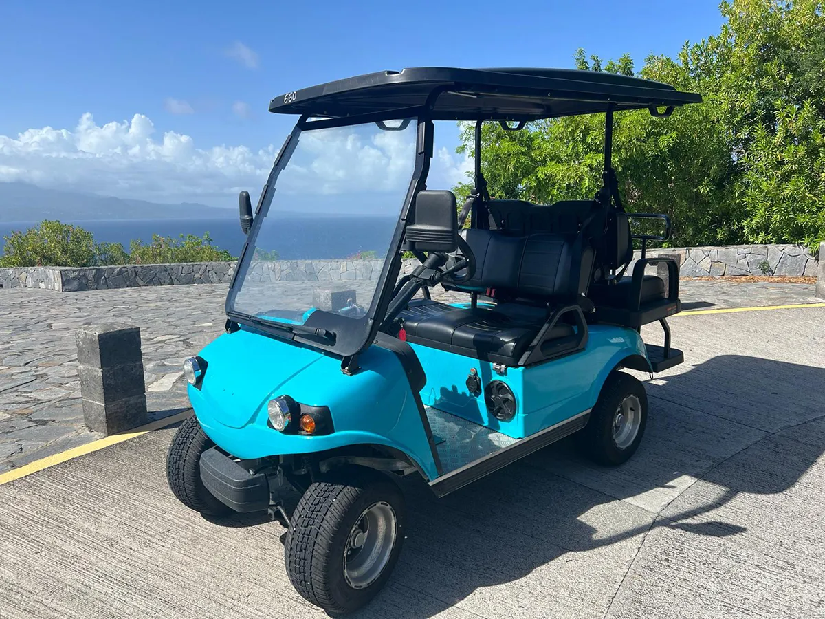 Choisir voiturette électrique aux Saintes – guide